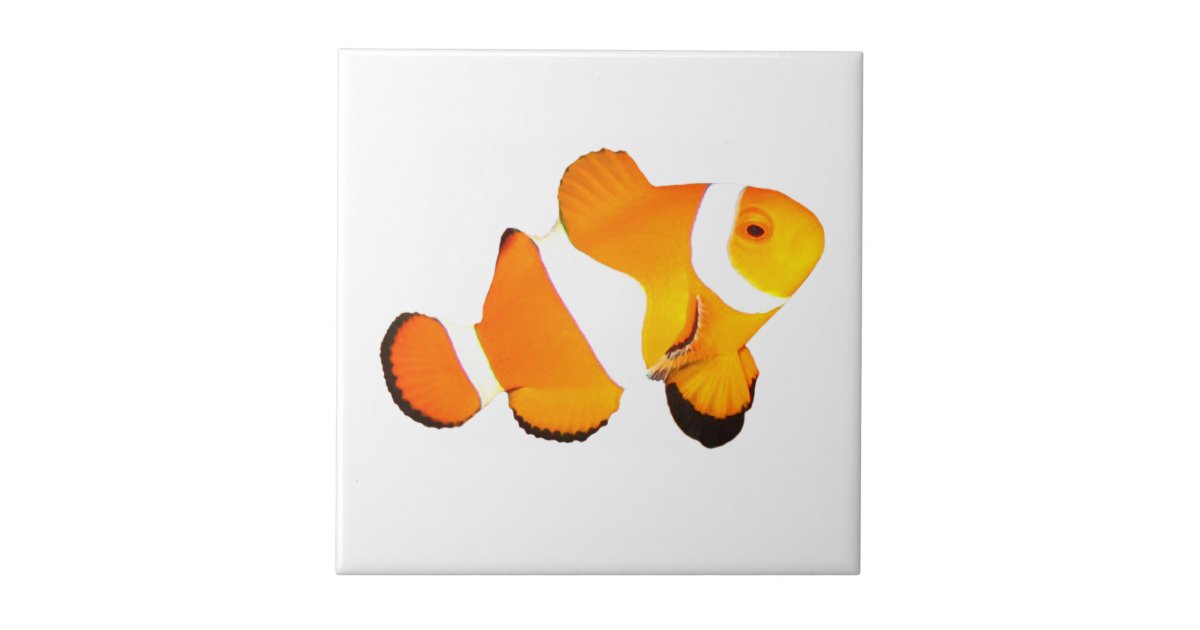 Clown Fish Ceramic Tile | Zazzle