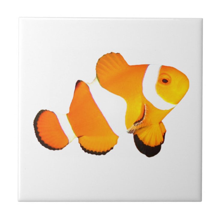 Clown Fish Ceramic Tile | Zazzle