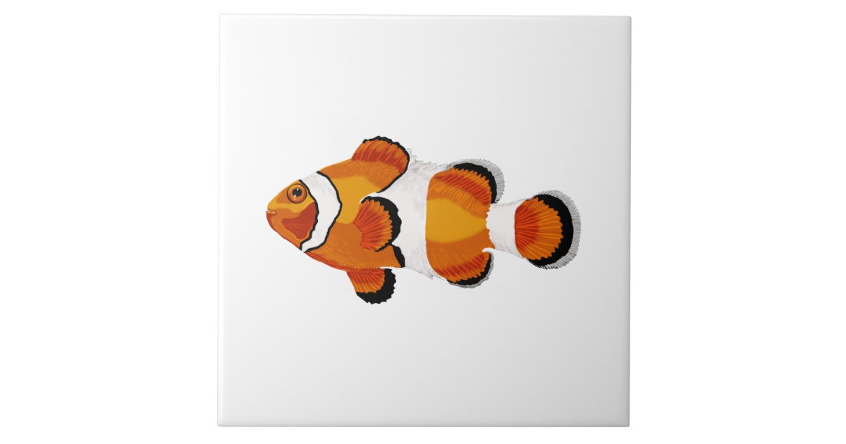 Clown fish ceramic tile | Zazzle