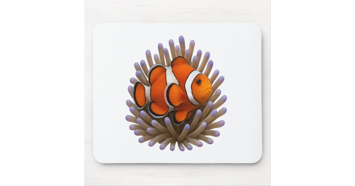 Clownfish & Cozy Coral Mouse Pad | Zazzle