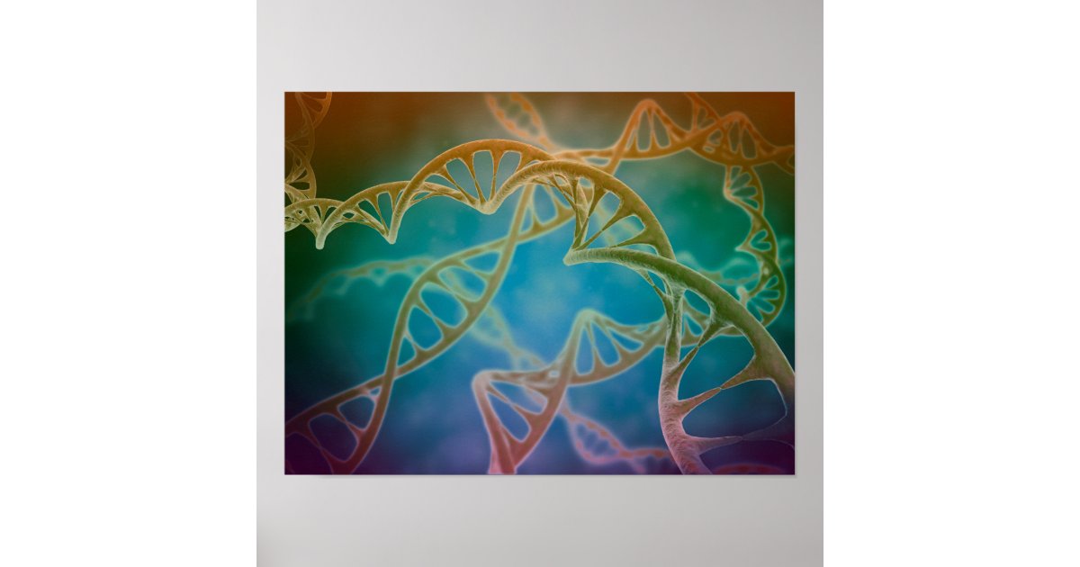 Cluster Of DNA Strands Poster | Zazzle