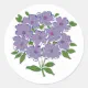 Cluster of Violets Image Classic Round Sticker | Zazzle