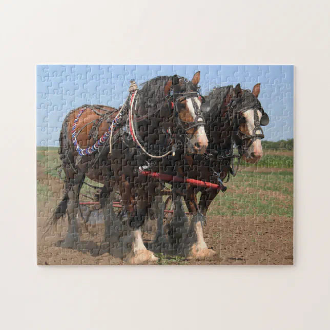 Clydesdale Plowing Horses. Jigsaw Puzzle | Zazzle