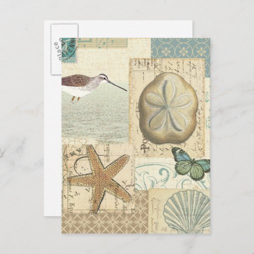 Coastal Collage Postcard | Zazzle