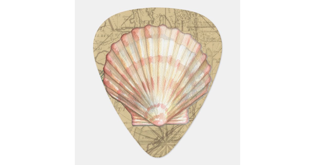 Coastal Map Collage Guitar Pick | Zazzle