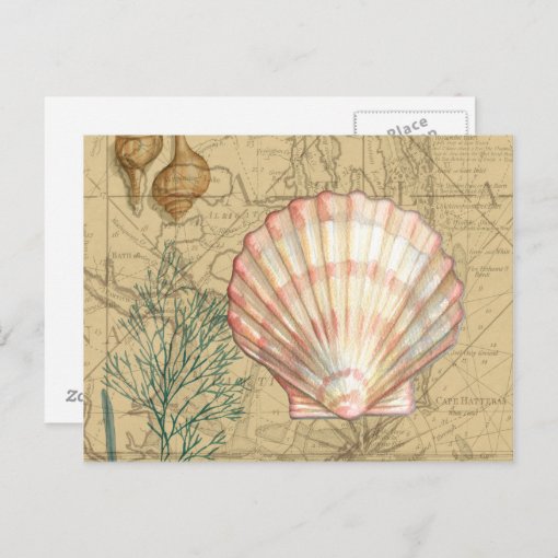 Coastal Map Collage Postcard | Zazzle