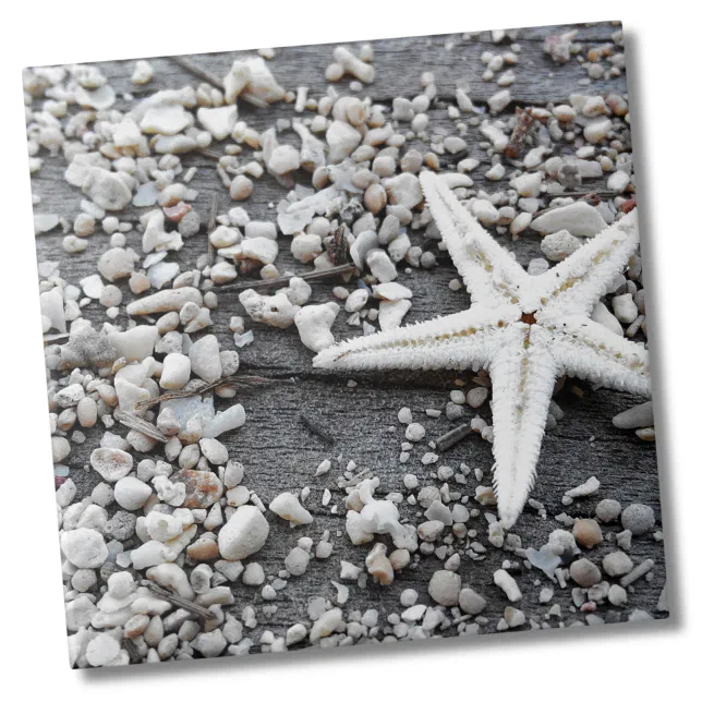 Coastal Ocean Sea Shell Pattern Ceramic Tile | Zazzle
