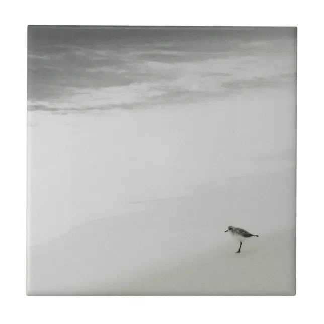 Coastal Sandpiper on the Beach Ceramic Tile | Zazzle