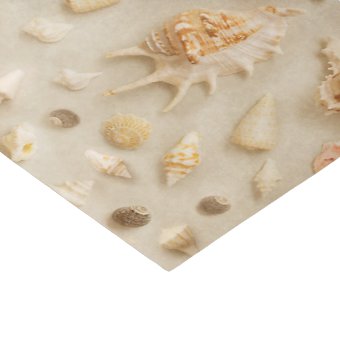 Coastal Starfish and Seashells Beach Photo Tissue Paper | Zazzle