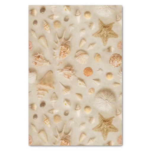Coastal Starfish and Seashells Beach Photo Tissue Paper | Zazzle