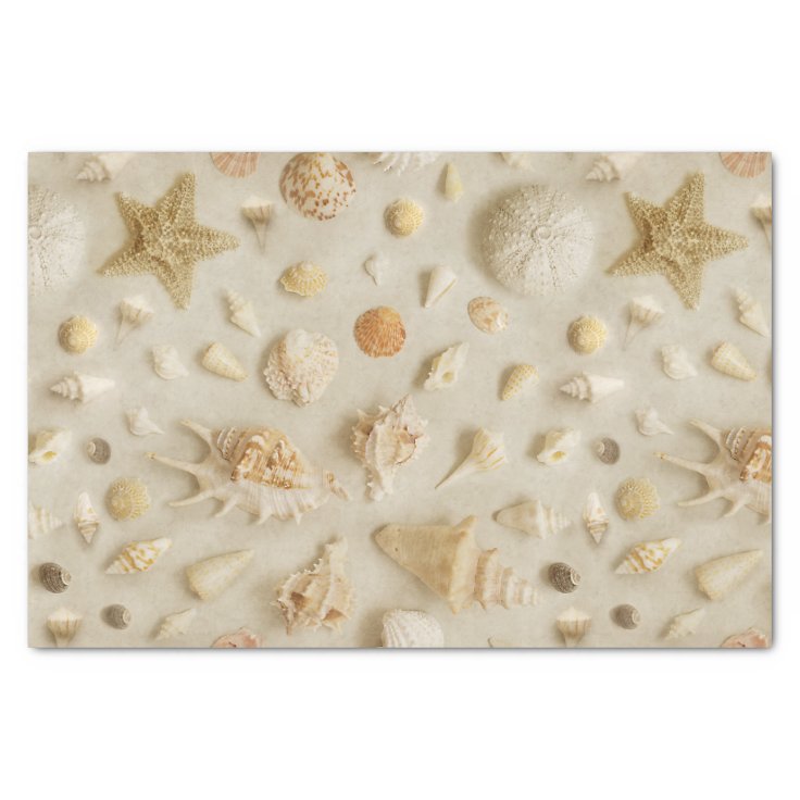 Coastal Starfish and Seashells Beach Photo Tissue Paper | Zazzle