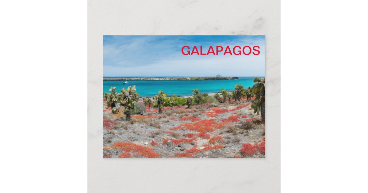 Coastline at Galapagos Postcard | Zazzle
