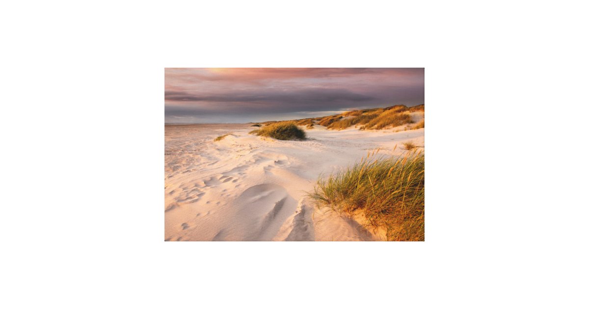 Coastline | Saltum Beach, Denmark Canvas Print | Zazzle
