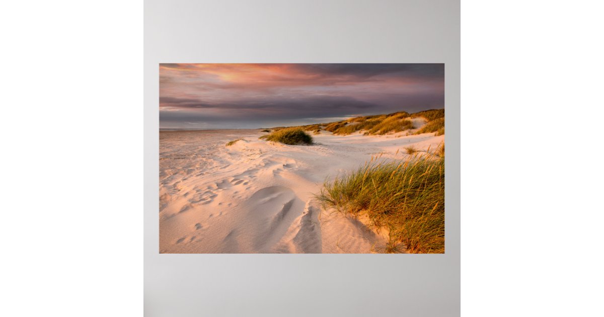 Coastline | Saltum Beach, Denmark Poster | Zazzle