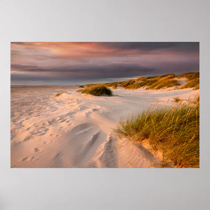 Coastline | Saltum Beach, Denmark Poster | Zazzle