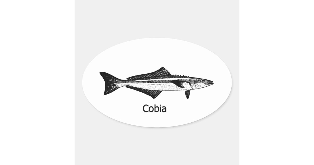 Cobia Fish Oval Sticker | Zazzle