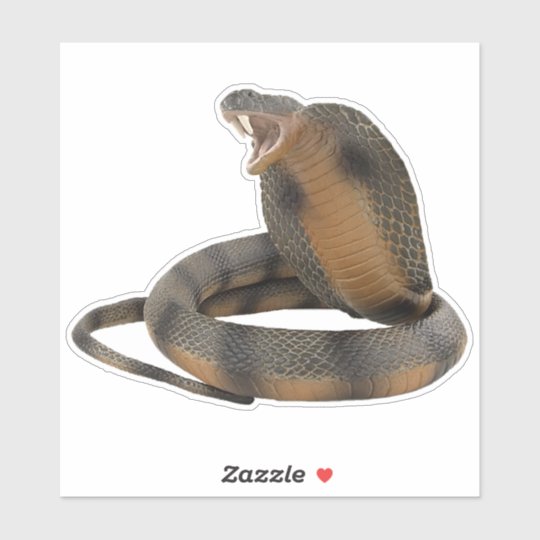 Cobra Sticker | Zazzle.com