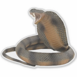 Cobra Sticker | Zazzle