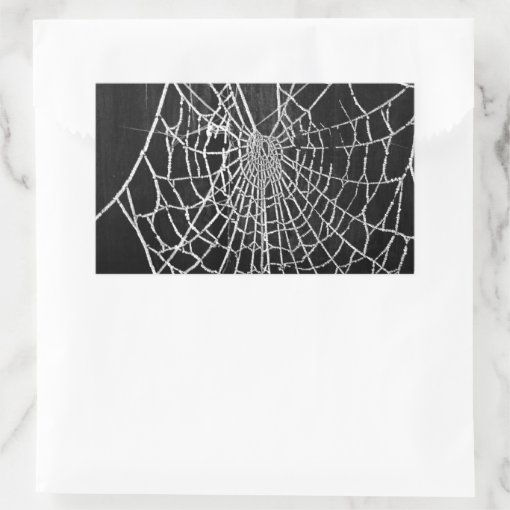 Cobweb Rectangular Sticker | Zazzle