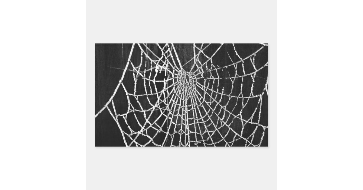 Cobweb Rectangular Sticker | Zazzle