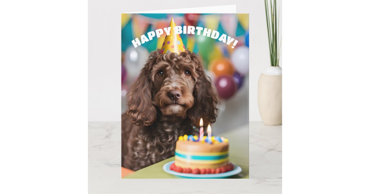 Cockapoo Birthday Party Card | Zazzle