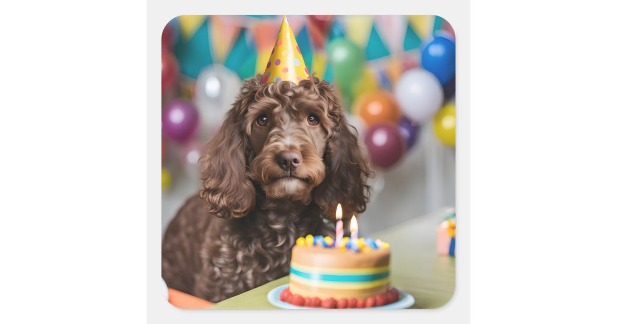 Cockapoo Birthday Party Square Sticker | Zazzle