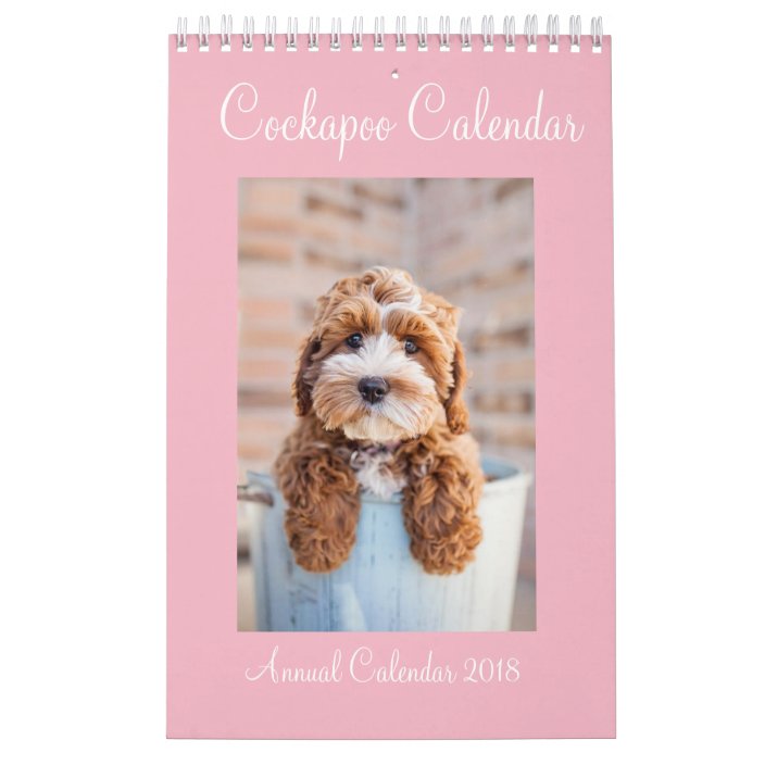 Cockapoo Calendar 2018 | Zazzle.com