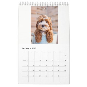 Cockapoo Calendar 2018 | Zazzle