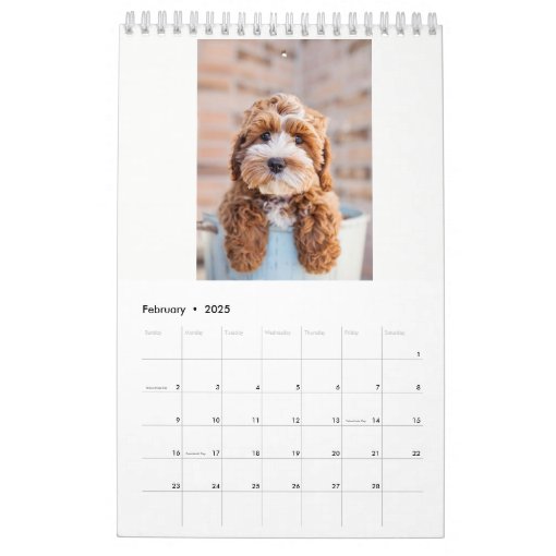 Cockapoo Calendar 2018 | Zazzle