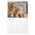 Cockapoo Calendar 2018 | Zazzle