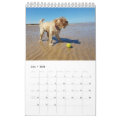 Cockapoo Calendar 2018 | Zazzle
