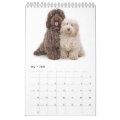 Cockapoo Calendar 2018 | Zazzle