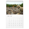 Cockapoo Calendar 2018 | Zazzle
