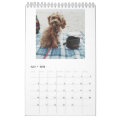 Cockapoo Calendar 2018 | Zazzle