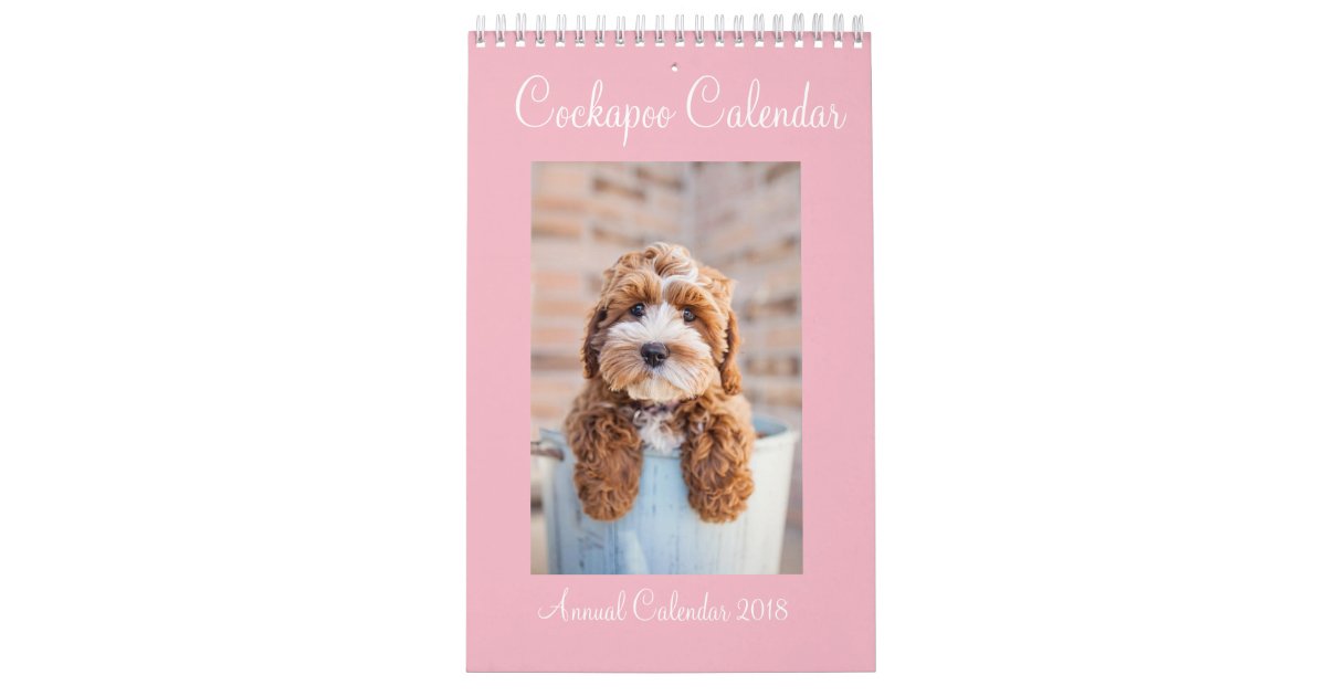 Cockapoo Calendar 2018 | Zazzle