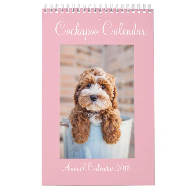 Cockapoo Calendar 2018 | Zazzle