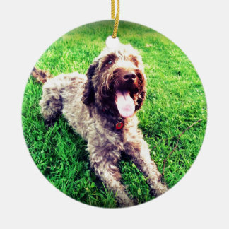 Cockapoo Ornaments & Keepsake Ornaments | Zazzle