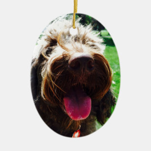 Cockapoo Ornaments & Keepsake Ornaments | Zazzle
