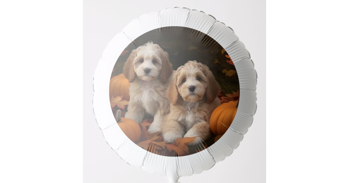 Cockapoo Puppy Autumn Delight Pumpkin Balloon | Zazzle