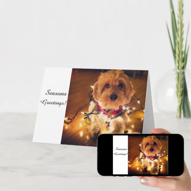 Cockapoo Puppy Christmas Card | Zazzle