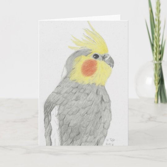 Cockatiel Art Greeting Card | Zazzle.com