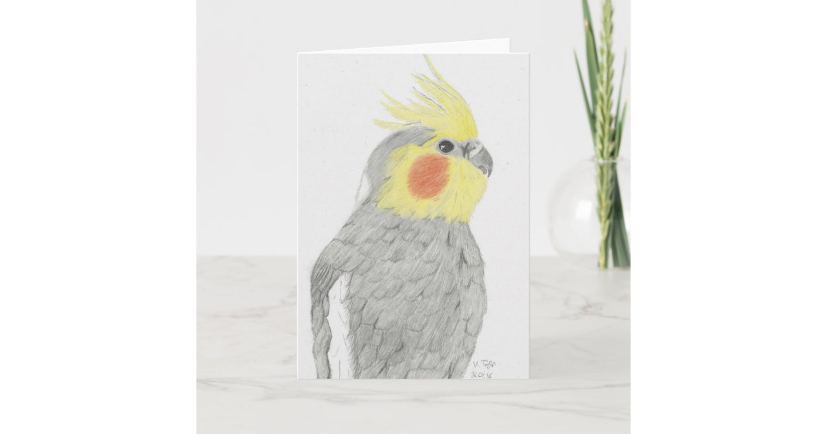 Cockatiel Art Greeting Card | Zazzle