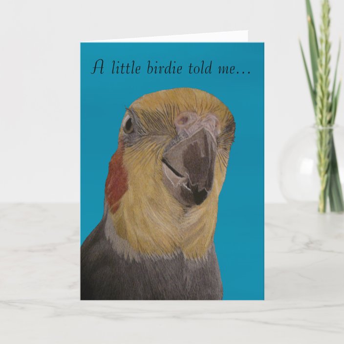 Cockatiel Bird Birthday Card | Zazzle.com