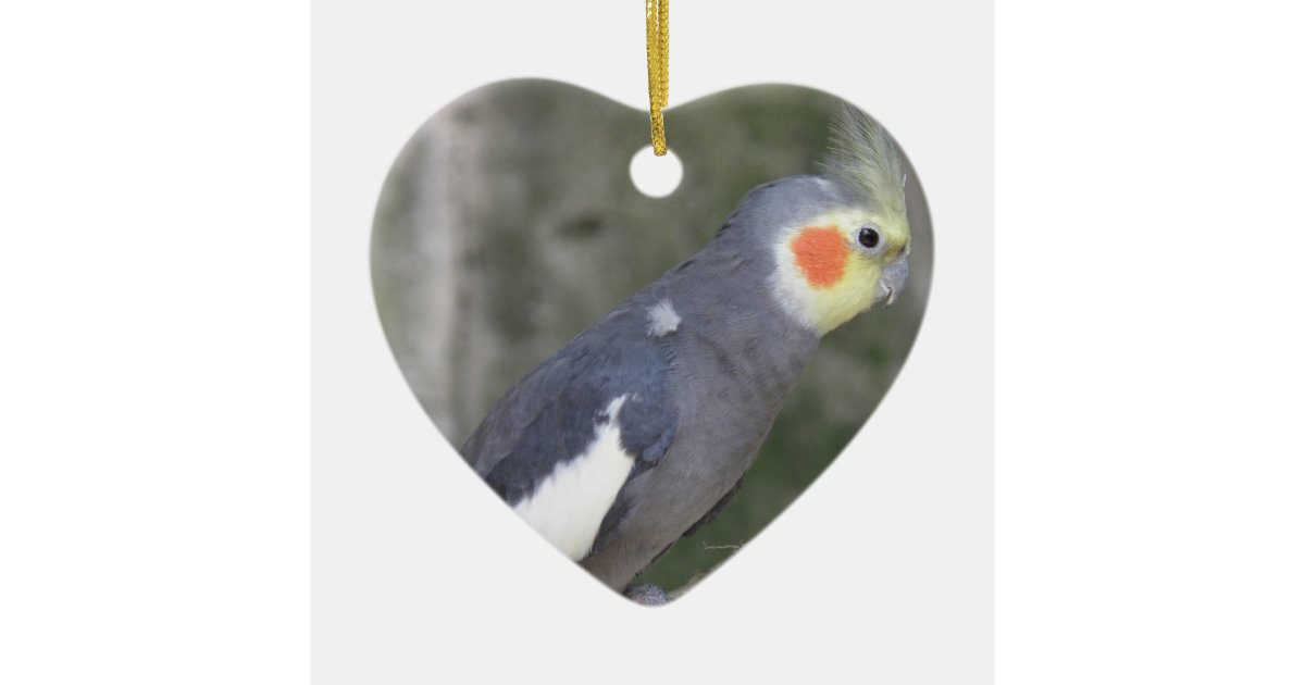 Cockatiel Bird Ceramic Ornament | Zazzle