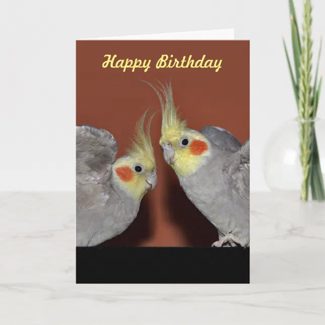 Cockatiel Duo Birthday Card | Zazzle