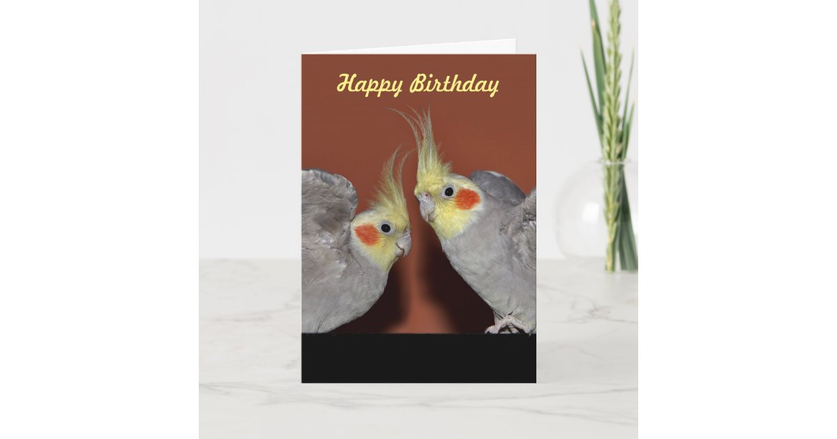 Cockatiel Duo Birthday Card (Customise Message) | Zazzle.com Cockatiel Duo Birthday Card (Customise Message) | Zazzle.com
