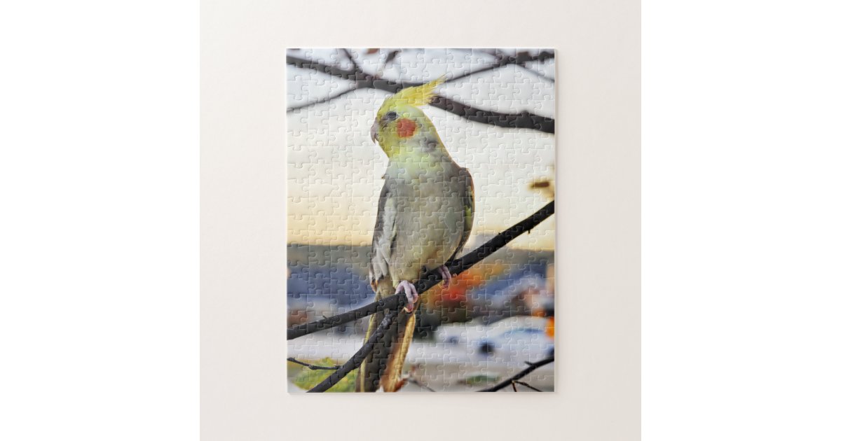 Cockatiel Profile Photograph Jigsaw Puzzle | Zazzle