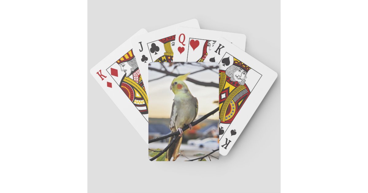 Cockatiel Profile Photograph Poker Cards | Zazzle
