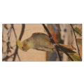 Cockatiel Profile Photograph Wood Flash Drive | Zazzle
