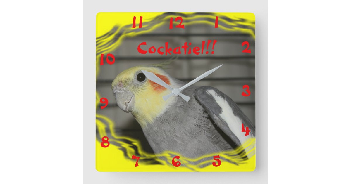 Cockatiel Wall Clock | Zazzle